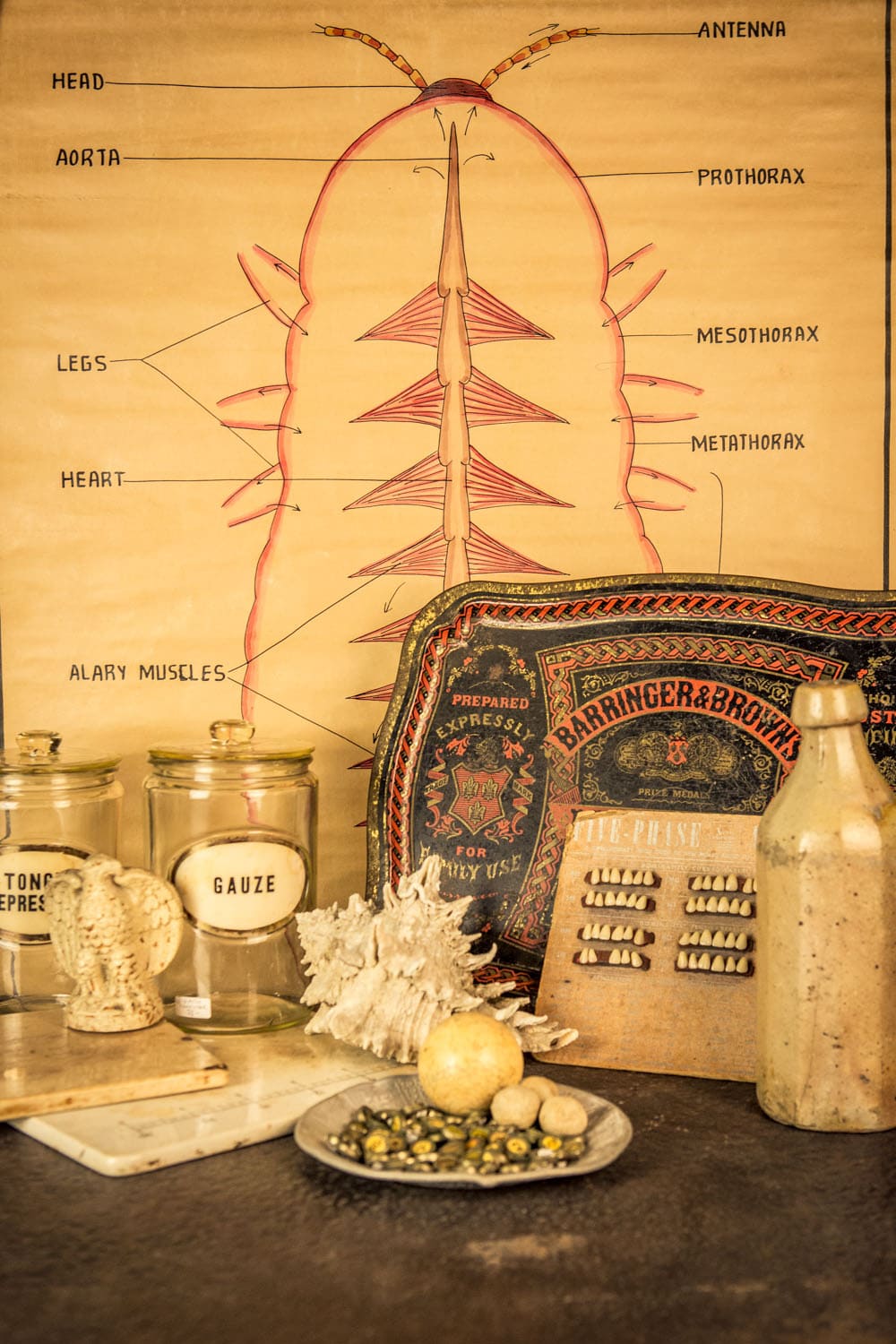 Gallery Uncommon Objects Gallery Uncommon Objects
